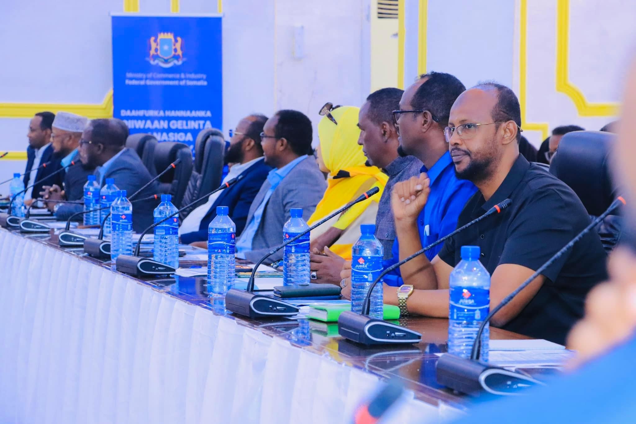 Somali Business Registration System Launched in Jubaland - Moci